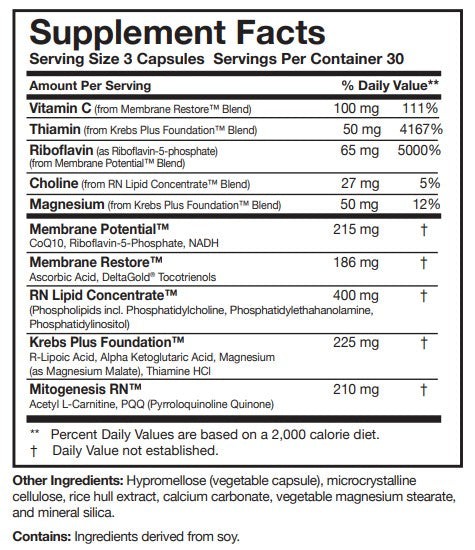 ATP 360 - Researched Nutritionals – New Zealand Strength Institute